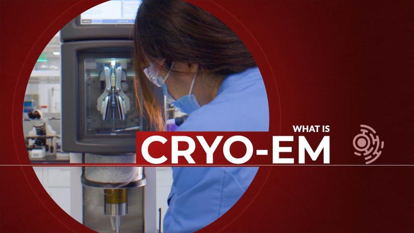 Explainer: What is Cryogenic electron microscopy (cryo-EM)? | SLAC National Accelerator Laboratory